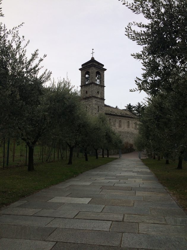 Piona – Valentino Zocca